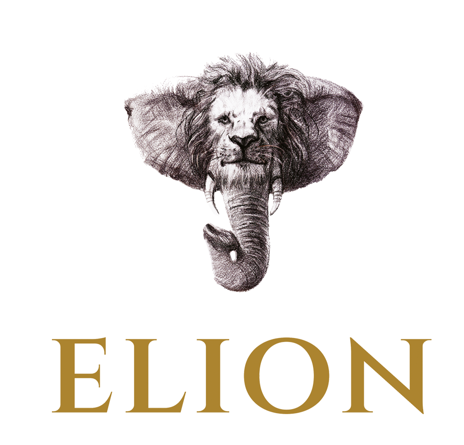 Design Highlights - ELION BY Sawansukha